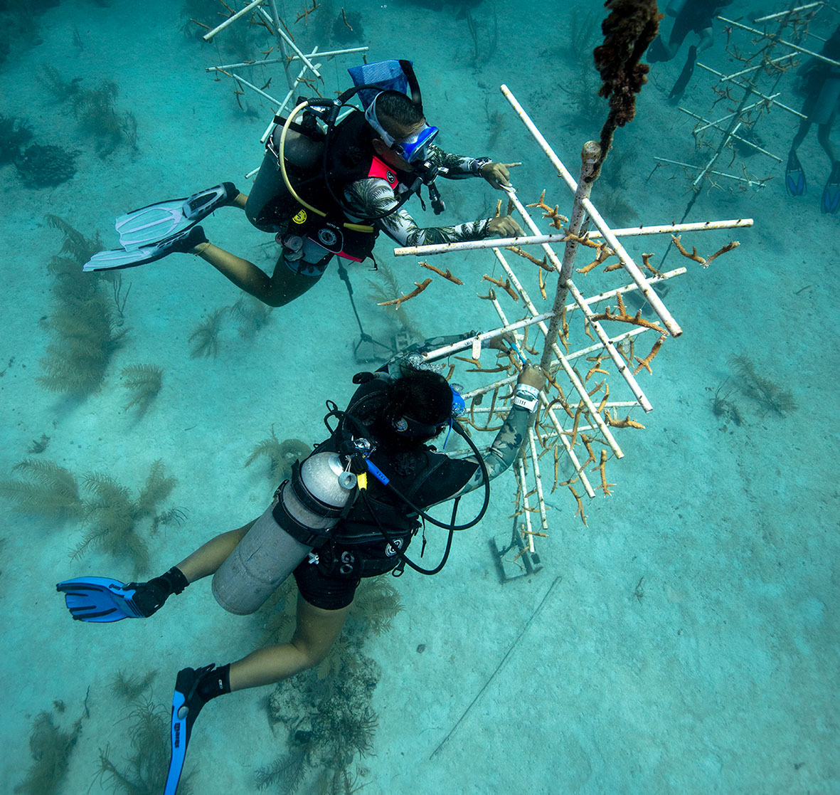 Speciality courses – Deco Divers