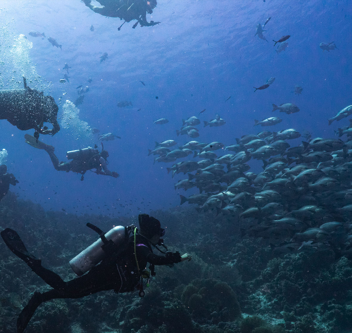 Speciality courses – Deco Divers